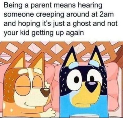30 Funny Bluey Memes Every Parent Will Relate To