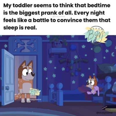 30 Funny Bluey Memes Every Parent Will Relate To