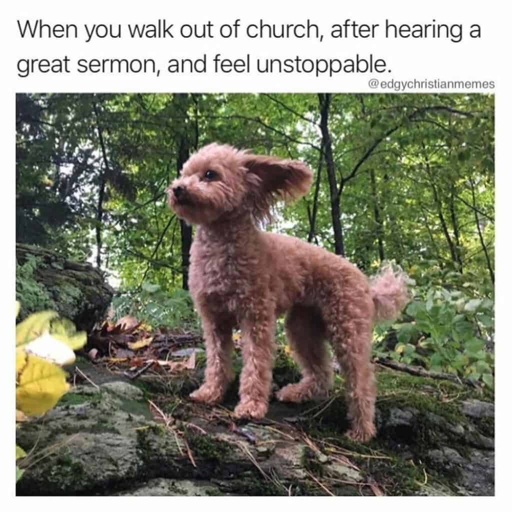 30 Funny Christian Memes Jesus Will Forgive You For Laughing At, That's ...