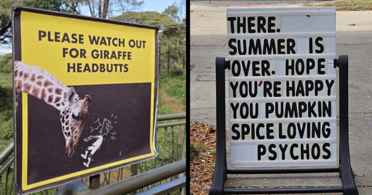 30 Funny Signs Posted For Humor, And Because Some People Are Kinda Dumb