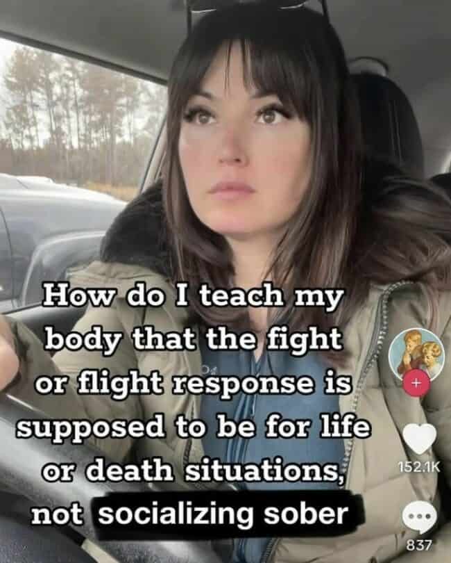 40 Funny Sobriety Memes For Clear-Headed Folks Taking The Holidays One ...