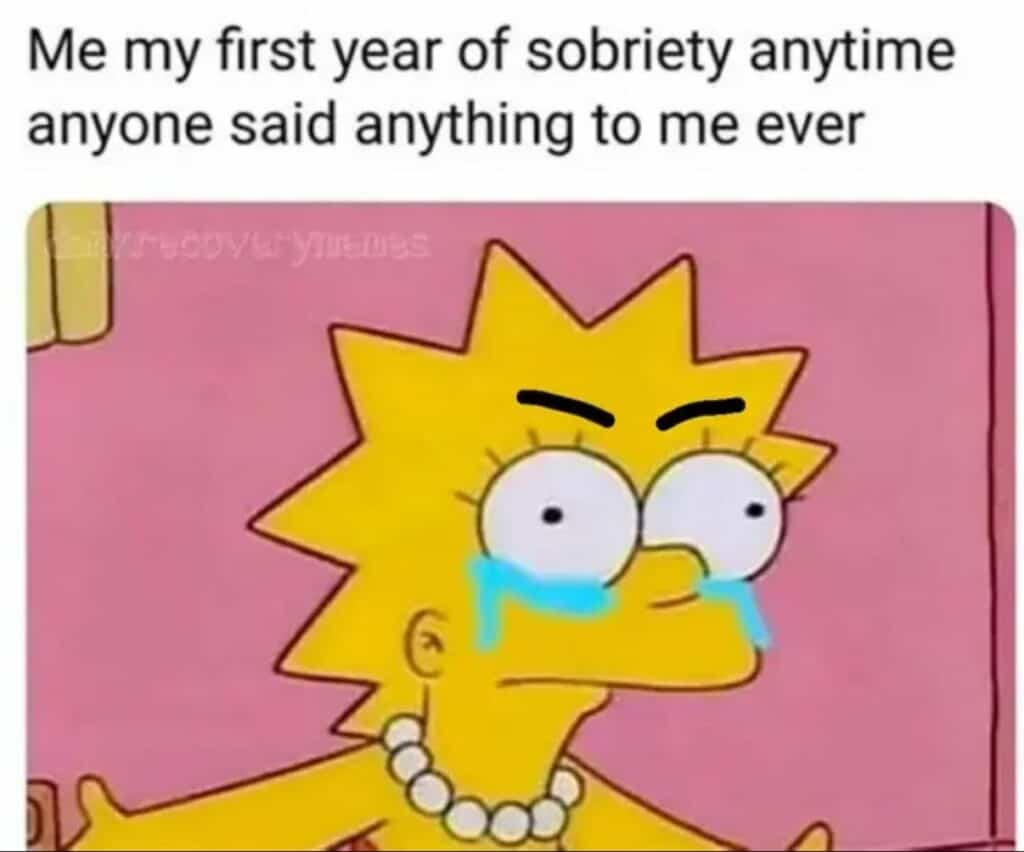 40 Funny Sobriety Memes For Clear-Headed Folks Taking The Holidays One ...