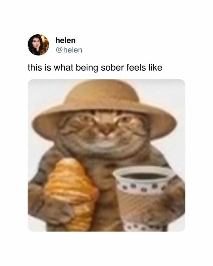 40 Funny Sobriety Memes For Clear-Headed Folks Taking The Holidays One ...