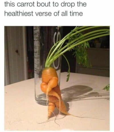 30 Vegetable Memes For Anyone Trying To ‘Balance Things Out’ Before ...