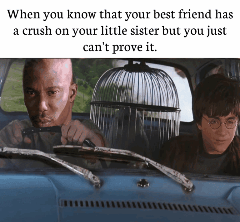 30 Harry Potter Memes That Could Even Make Voldemort Crinkle His Nose