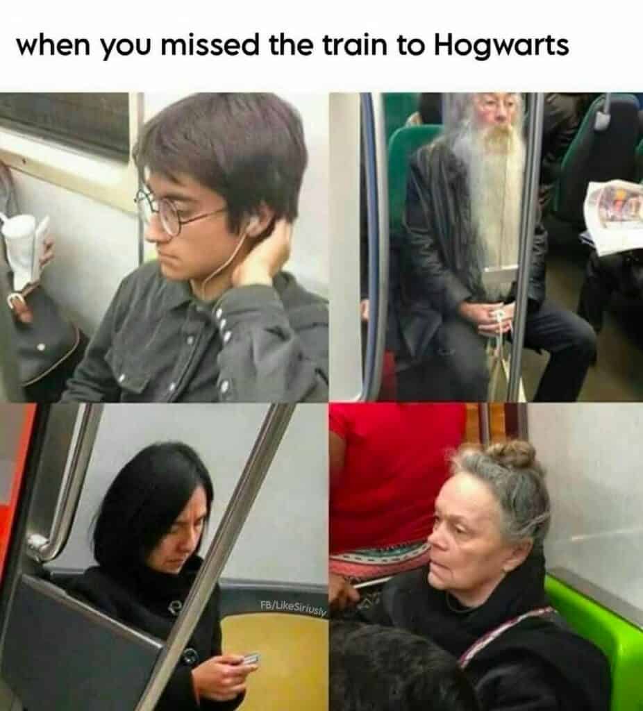 30 Harry Potter Memes That Could Even Make Voldemort Crinkle His Nose