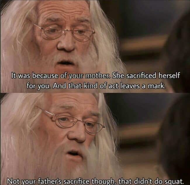30 Harry Potter Memes That Could Even Make Voldemort Crinkle His Nose