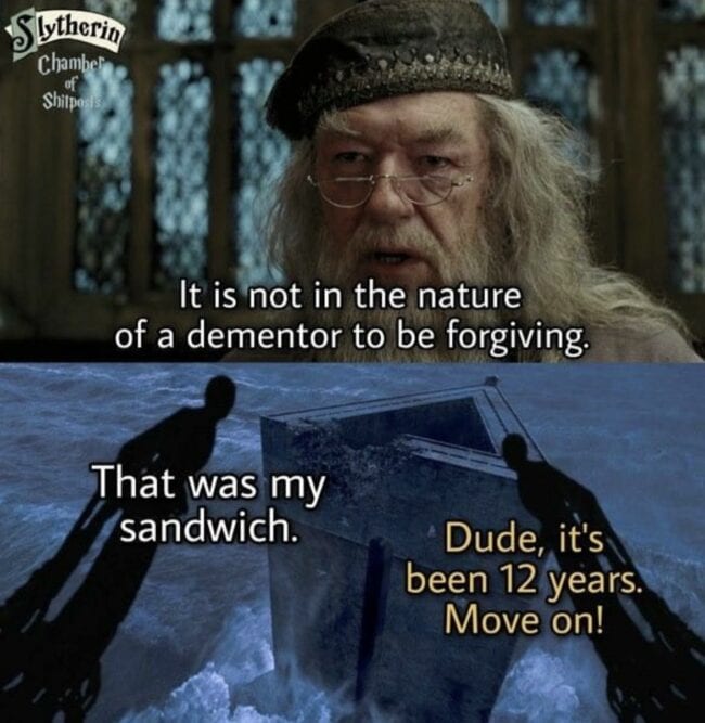 30 Harry Potter Memes That Could Even Make Voldemort Crinkle His Nose