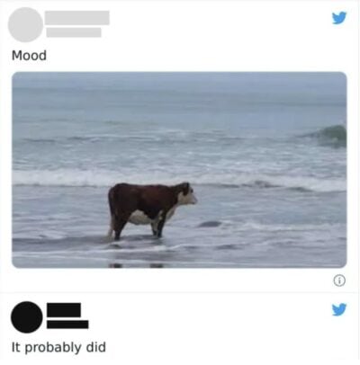 30 Literal Memes That Actually Take The Meaning Of "Literally" Literally
