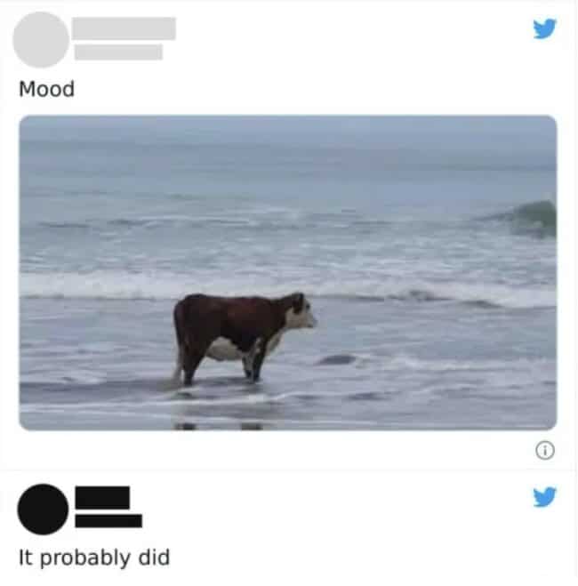 30 Literal Memes That Actually Take The Meaning Of "Literally" Literally