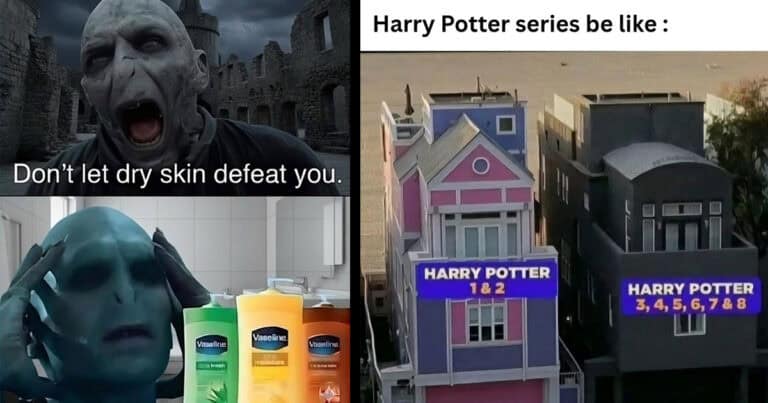 30 Magical Harry Potter Memes That’ll Make You Spit Out Your Butterbeer ...