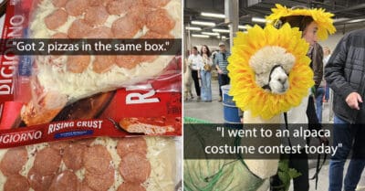 35 Mildly Interesting Pictures That Caught People’s Eye This Week ...