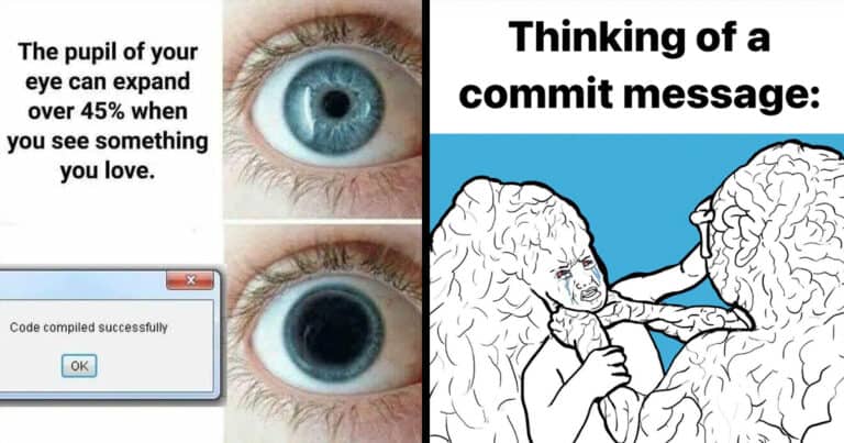 30 Programming Memes For Coders Who Developed A Sense Of Humor