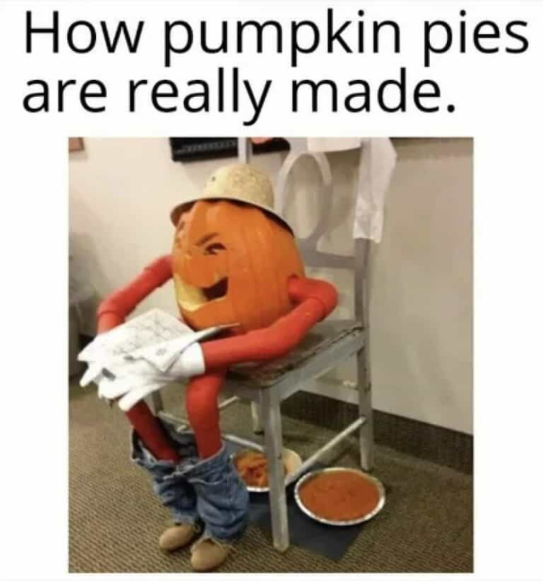 30 Thanksgiving Pie Memes We Hoped You Saved Some Room For