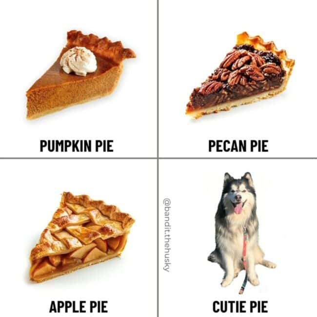 30 Thanksgiving Pie Memes We Hoped You Saved Some Room For