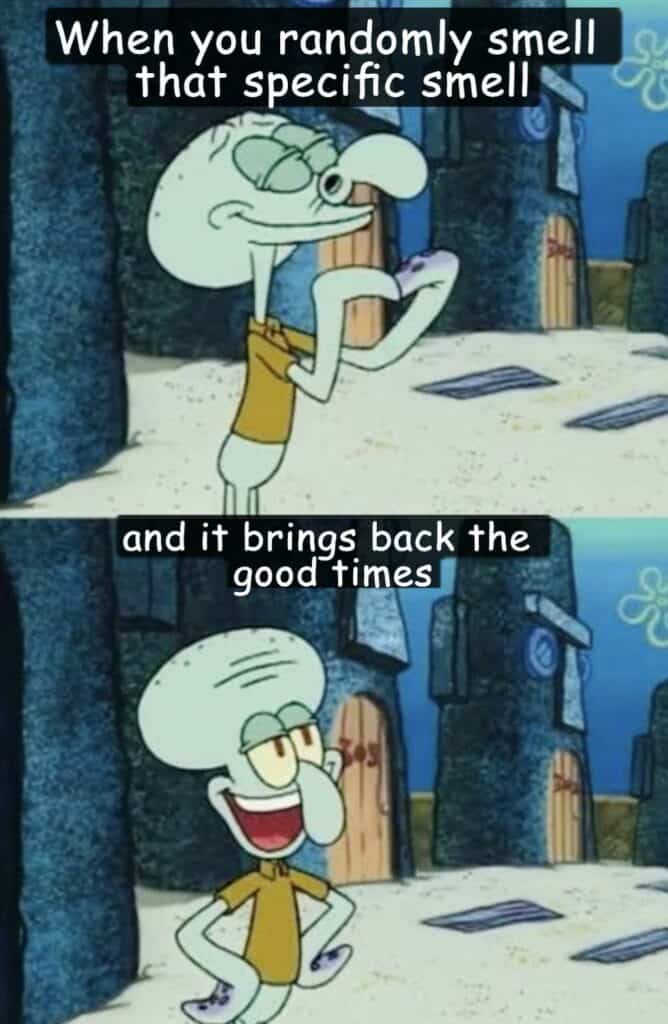 30 Wholesome Memes For Anyone Sick Of The Nonstop Garbage News Feed
