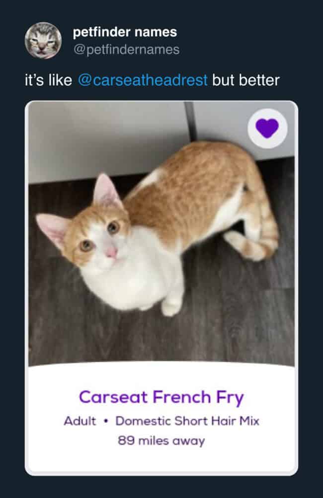 35 Funniest Pet Names People Found That Prove Naming Pets Is An Art Form