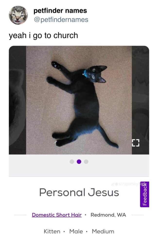 35 Funniest Pet Names People Found That Prove Naming Pets Is An Art Form