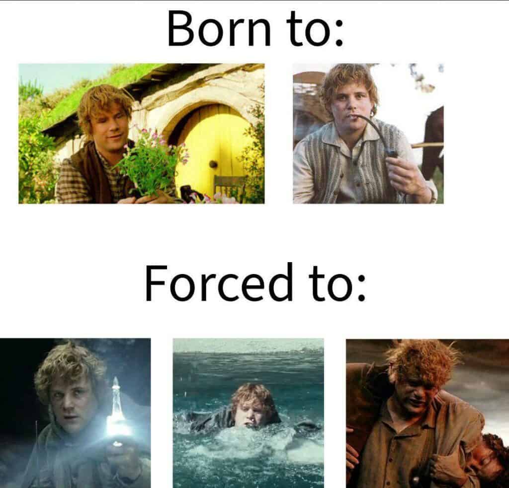 35 Funniest Lord Of The Rings Memes That Hit Like A Balrog This Week ...