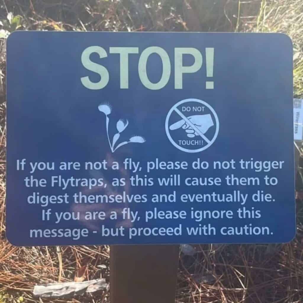 33 Funniest Signs That Posted Comedy Gold This Week (December 19, 2025)