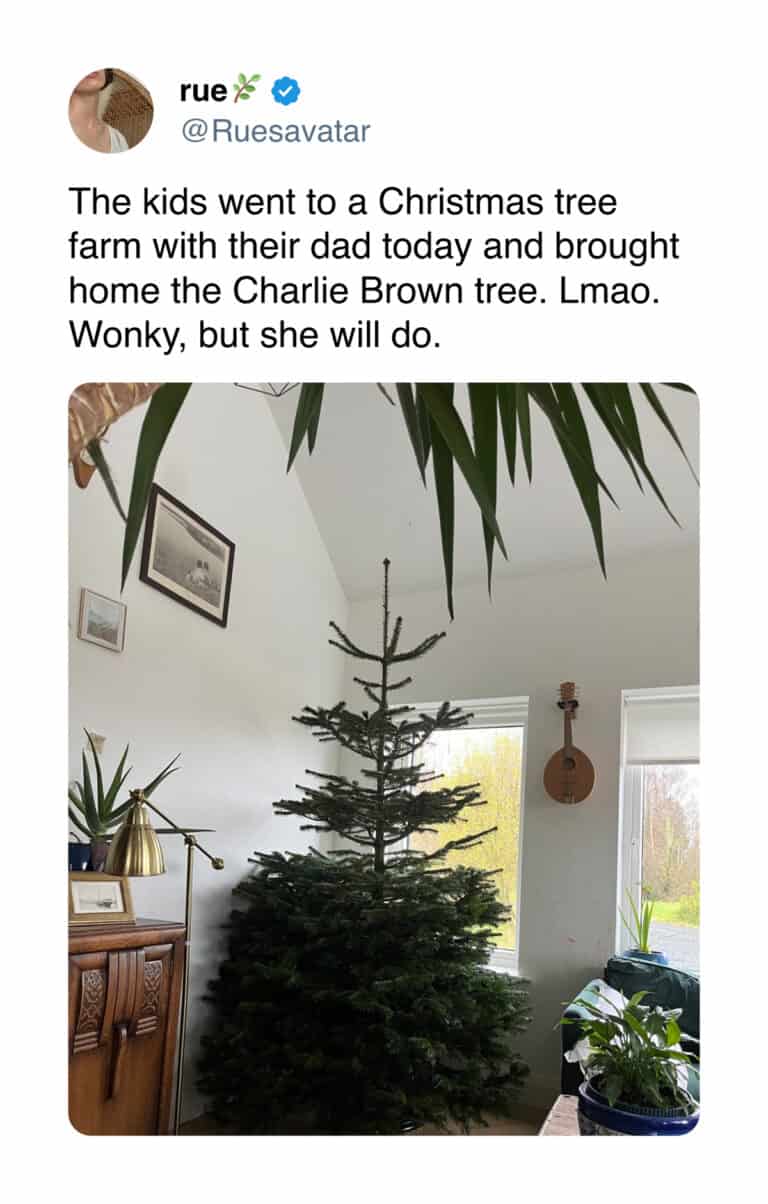 40 Funniest Tweets Of The Week — So Far (December 10, 2025)