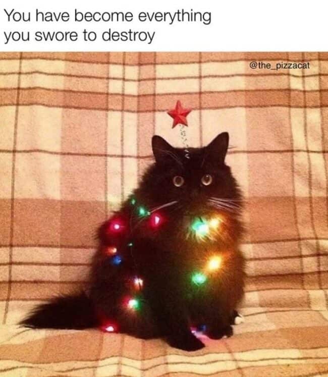 30 Christmas Cat Memes And Pics For Anyone Wrangling A Tiny Furry Grinch
