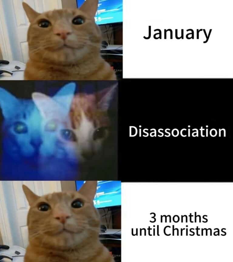 30 Christmas Cat Memes And Pics For Anyone Wrangling A Tiny Furry Grinch
