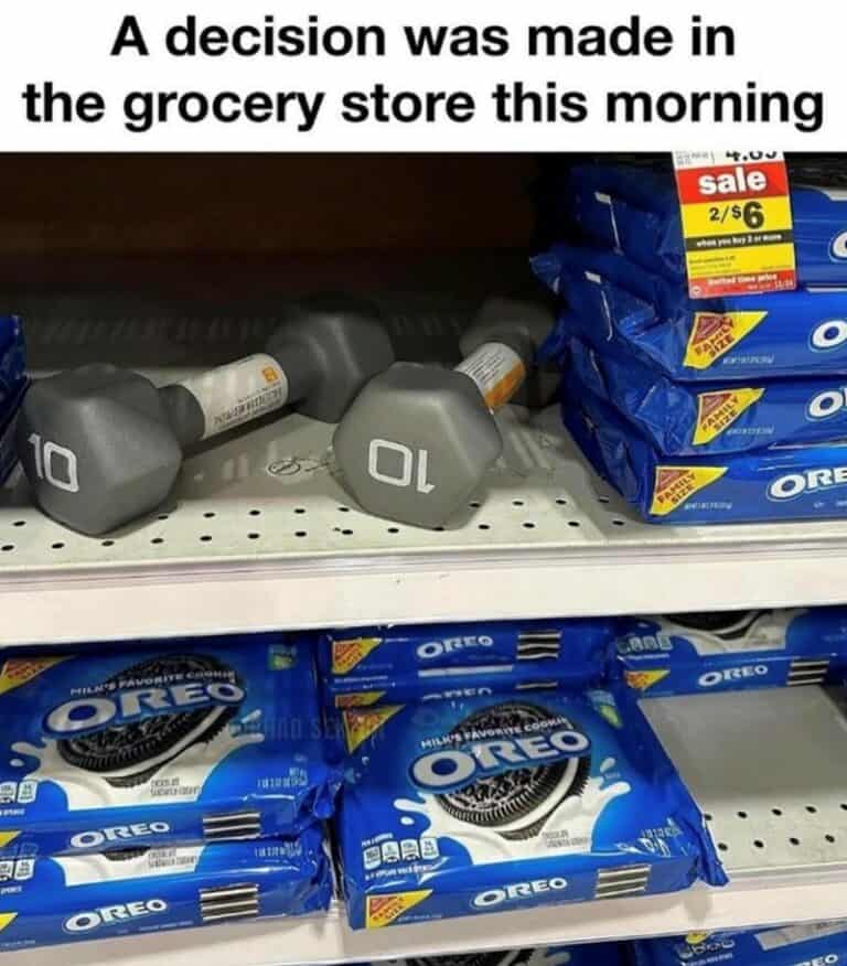 30 Funny Gym Memes For Everyone Gearing Up For Their New Year's Fitness ...