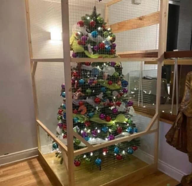 45 Funny Pictures For Your Wednesday Morning Survival (December 17, 2025)