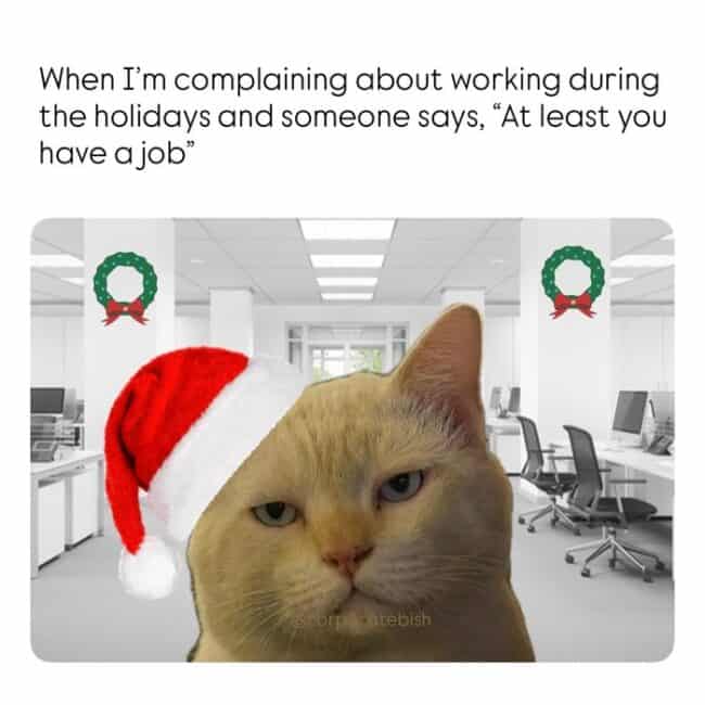 30 Funny Work Memes For Anyone Counting Down To Christmas Break This ...