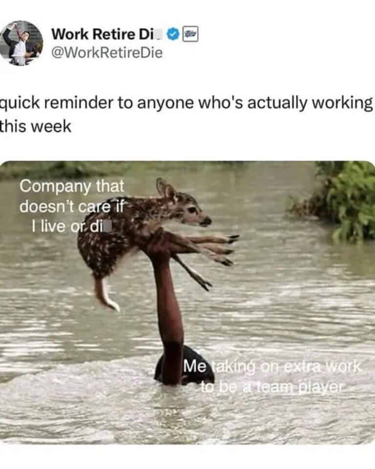 40 Funny Work Memes For Everyone Making The Most Of Their PTO This Week ...