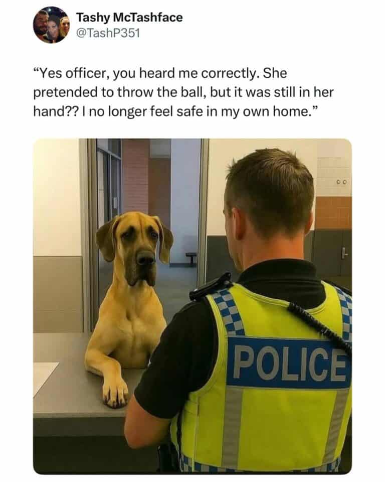 30 Great British Tweets From The Land Of Dry Humor And Biting Wit