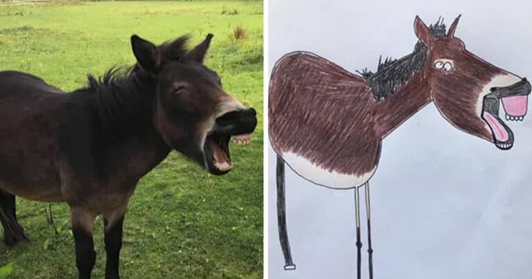 30 Awful Animal Portraits Drawn So Hilariously Poorly They're Actually ...