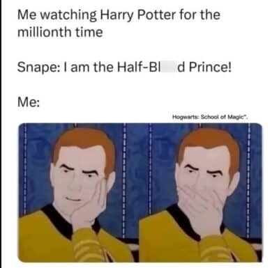 30 Magical Harry Potter Memes That Hit Harder Than A Rogue Bludger This ...