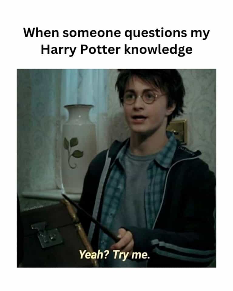 30 Magical Harry Potter Memes That Hit Harder Than A Rogue Bludger This ...