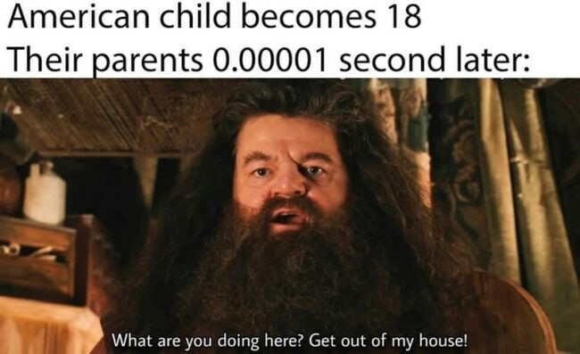 30 Magical Harry Potter Memes That Hit Harder Than A Rogue Bludger This ...