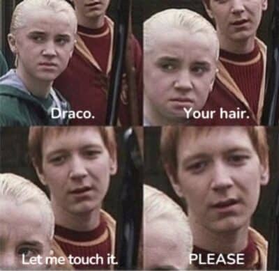 30 Magical Harry Potter Memes That Hit Harder Than A Rogue Bludger This ...