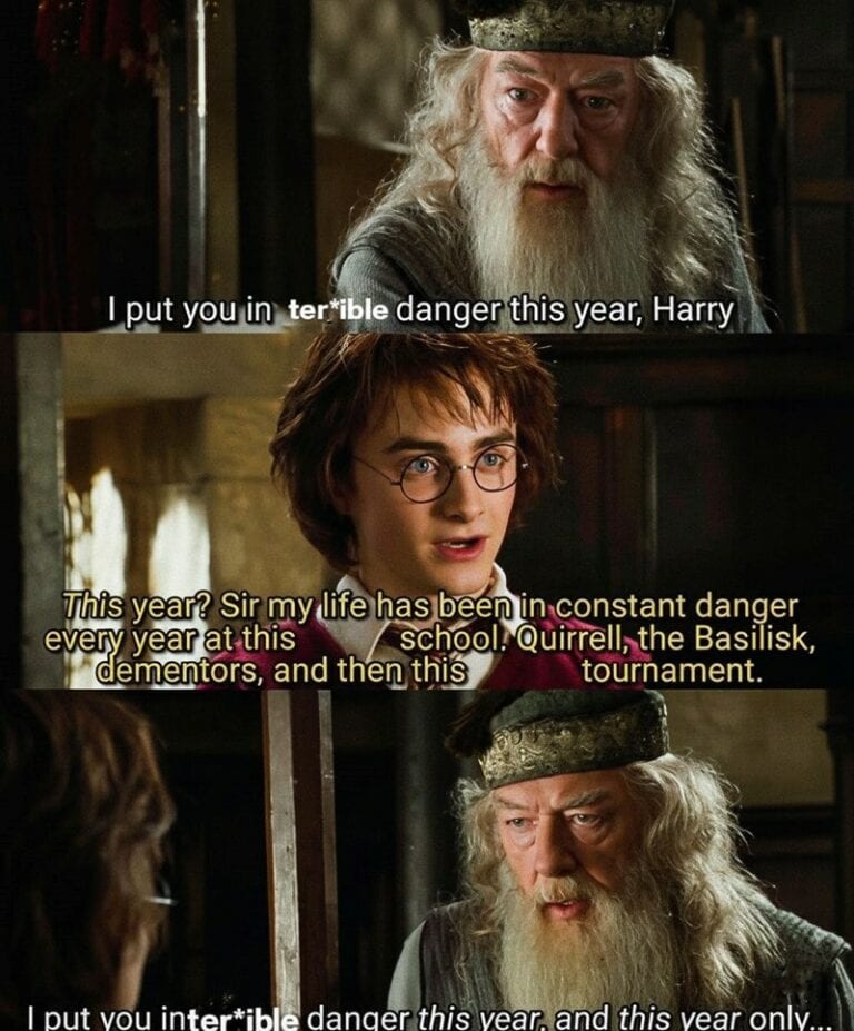 30 Magical Harry Potter Memes That Hit Harder Than A Rogue Bludger This ...