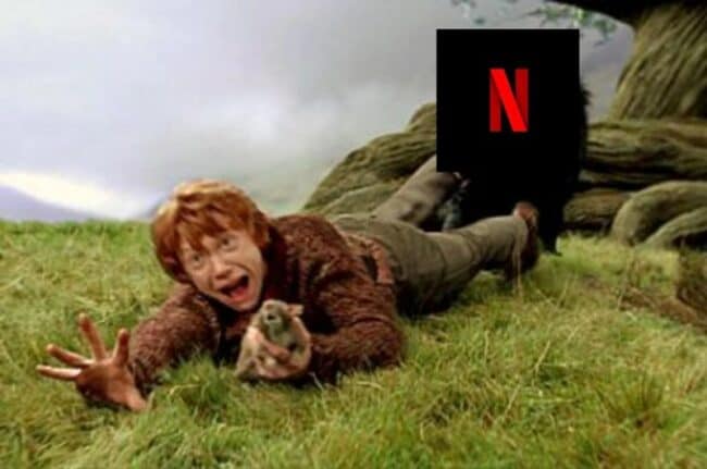 30 Magical Harry Potter Memes That Hit Harder Than A Rogue Bludger This ...