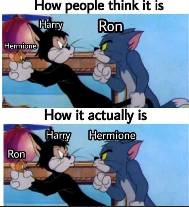 30 Magical Harry Potter Memes That Hit Harder Than A Rogue Bludger This ...
