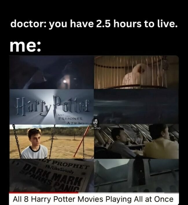 30 Magical Harry Potter Memes That Hit Harder Than A Rogue Bludger This ...