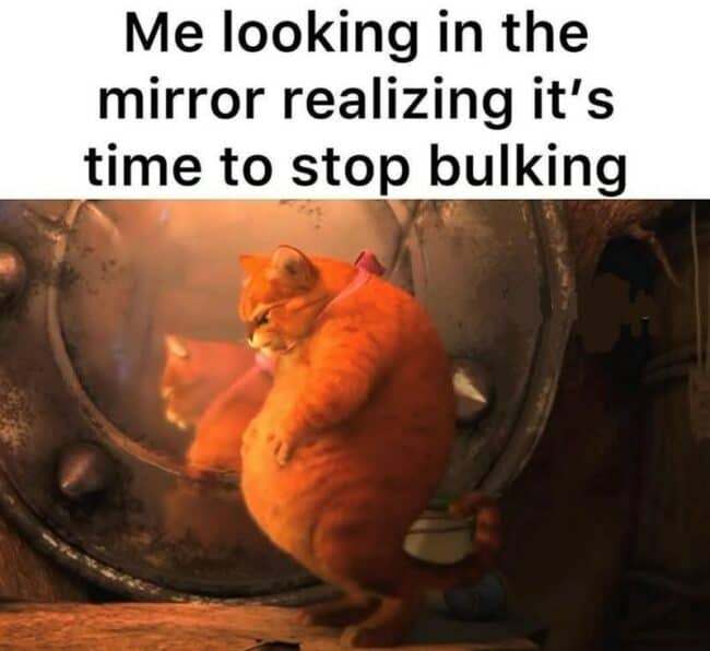 30 Pre-Workout Fueled Gym Memes That'll Have You Shaking Like The ...