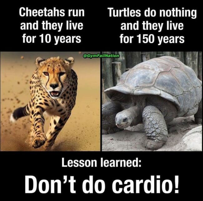 30 Pre-Workout Fueled Gym Memes That'll Have You Shaking Like The ...