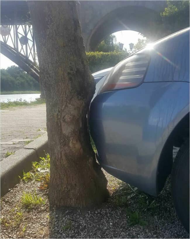 35 Wonderfully Satisfying Times Random Objects Fit Together Perfectly