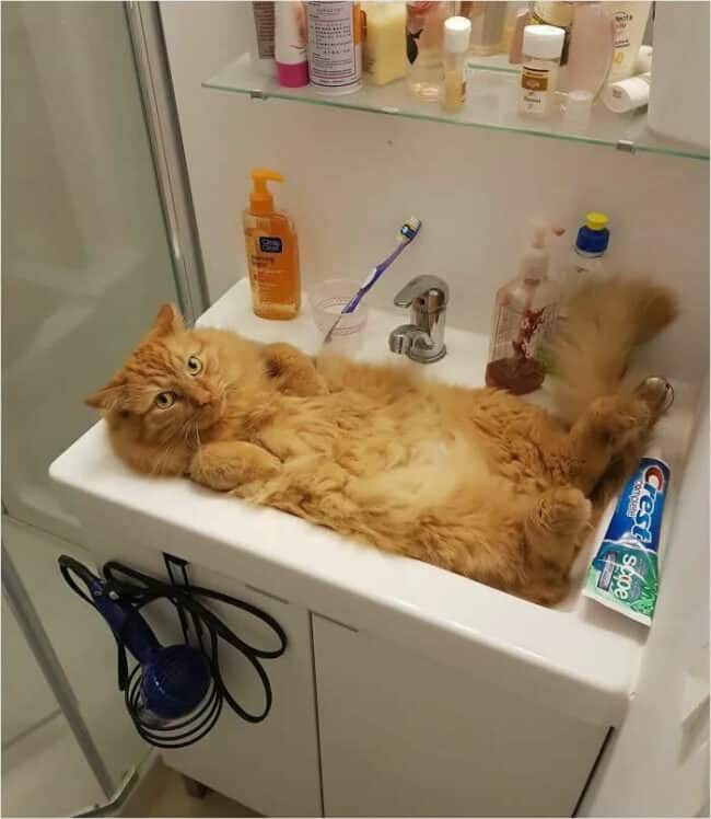 35 Wonderfully Satisfying Times Random Objects Fit Together Perfectly