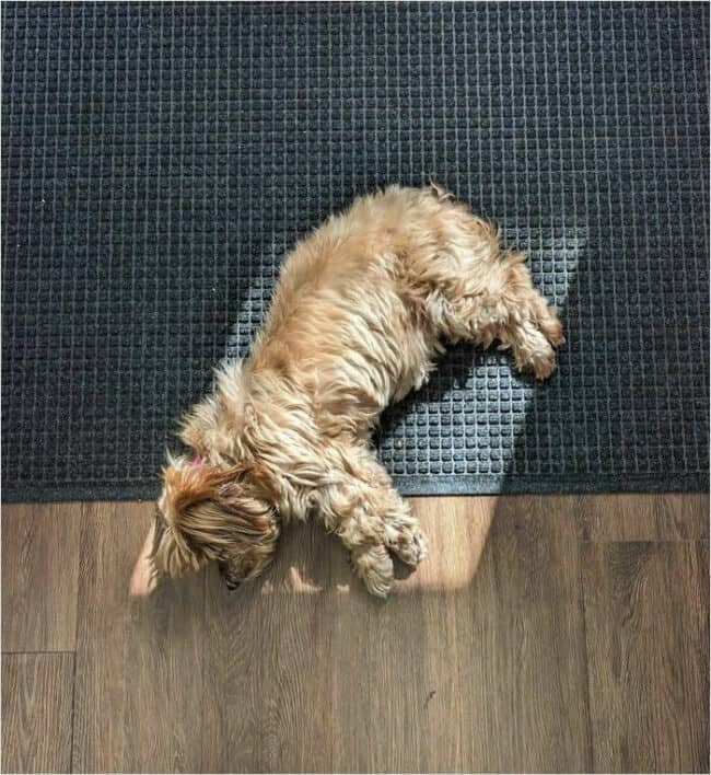 35 Wonderfully Satisfying Times Random Objects Fit Together Perfectly