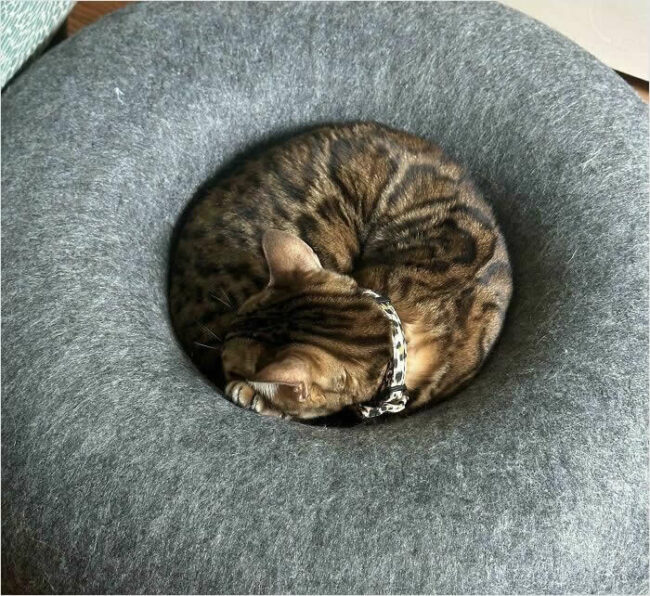 35 Wonderfully Satisfying Times Random Objects Fit Together Perfectly