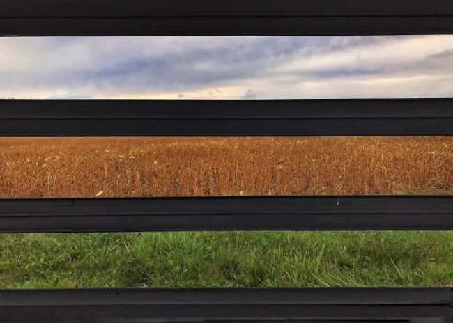 35 Wonderfully Satisfying Times Random Objects Fit Together Perfectly