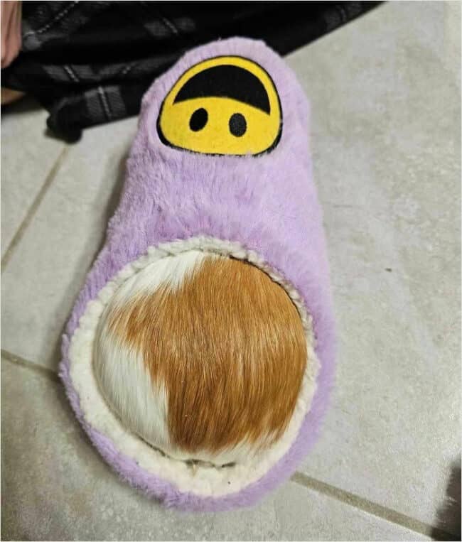 35 Wonderfully Satisfying Times Random Objects Fit Together Perfectly