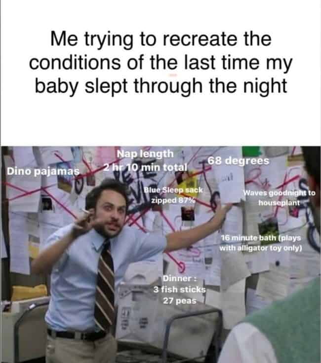 35 Adorable New Born Baby Memes That Bring Some Laughter To Parents Who ...